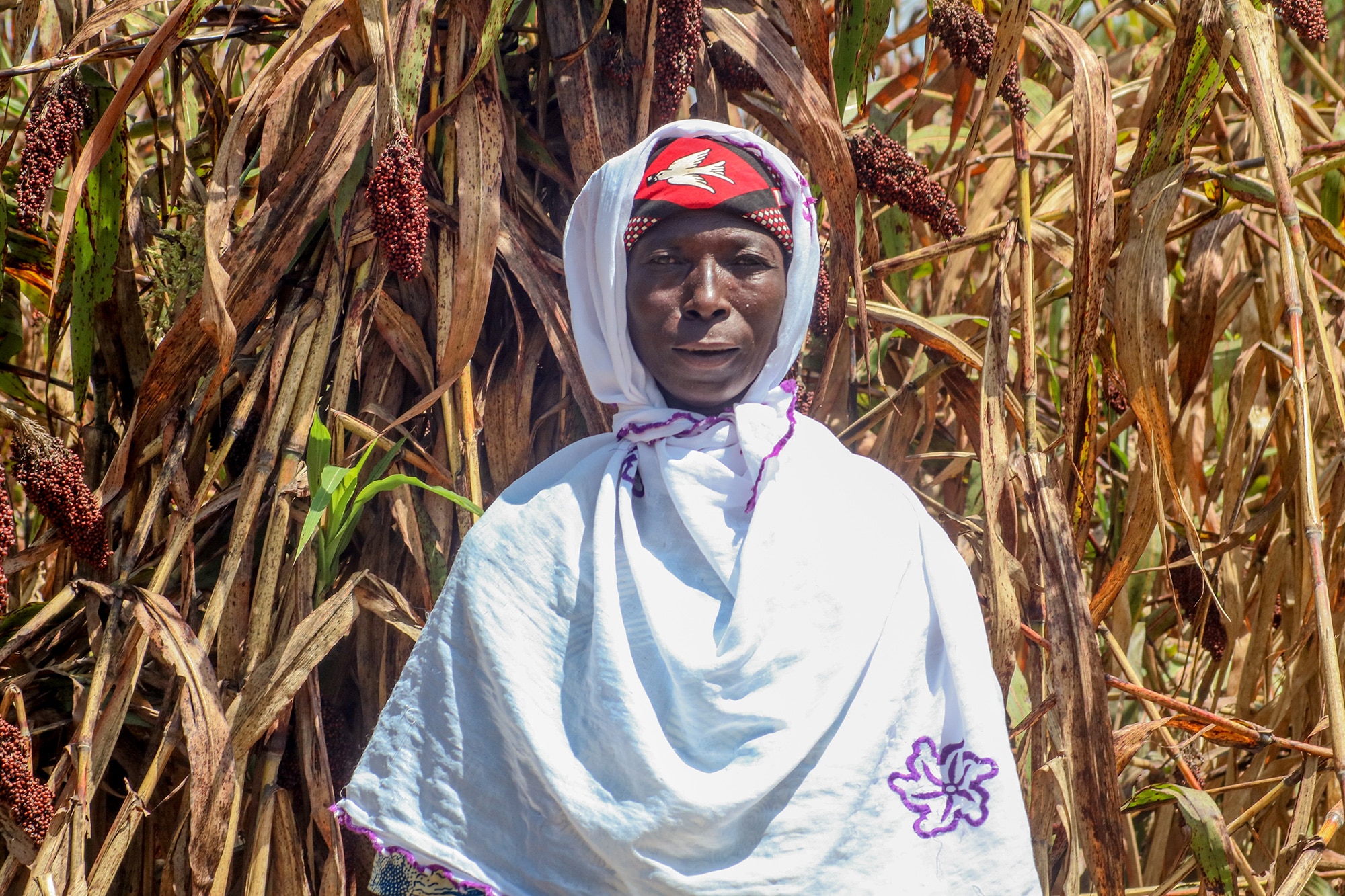 Compost revives farmer’s tired land - Self Help Africa