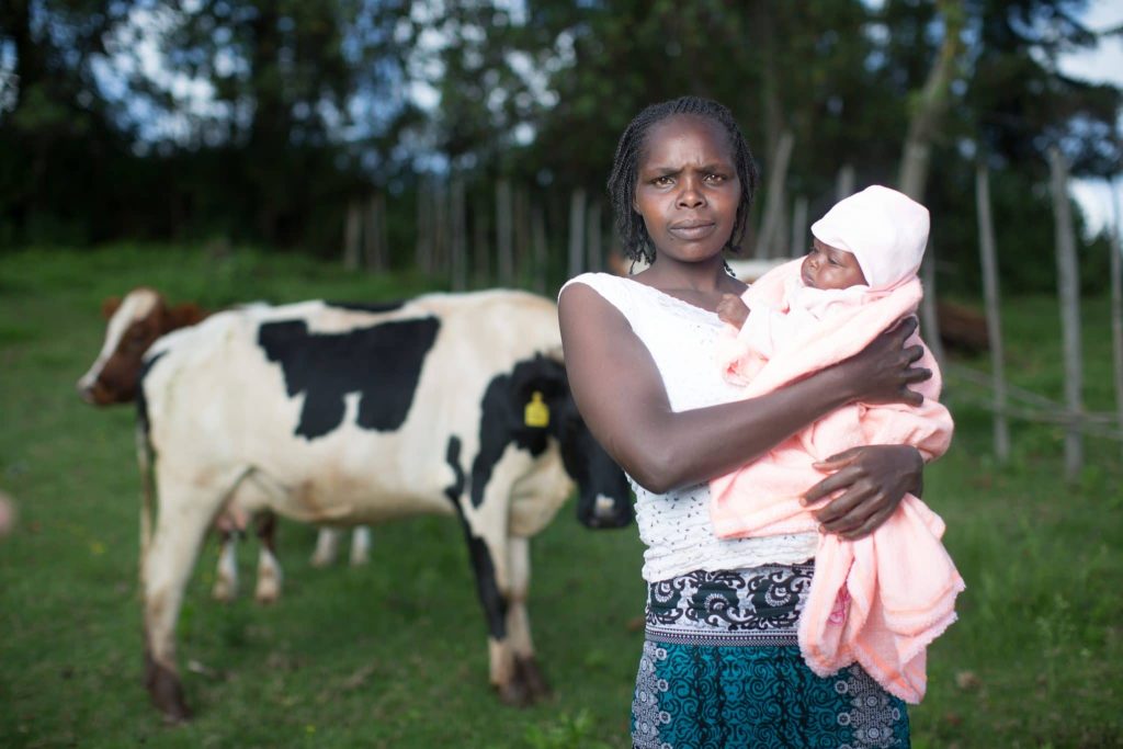 Continuing Gorta Tradition in Kenya - Self Help Africa