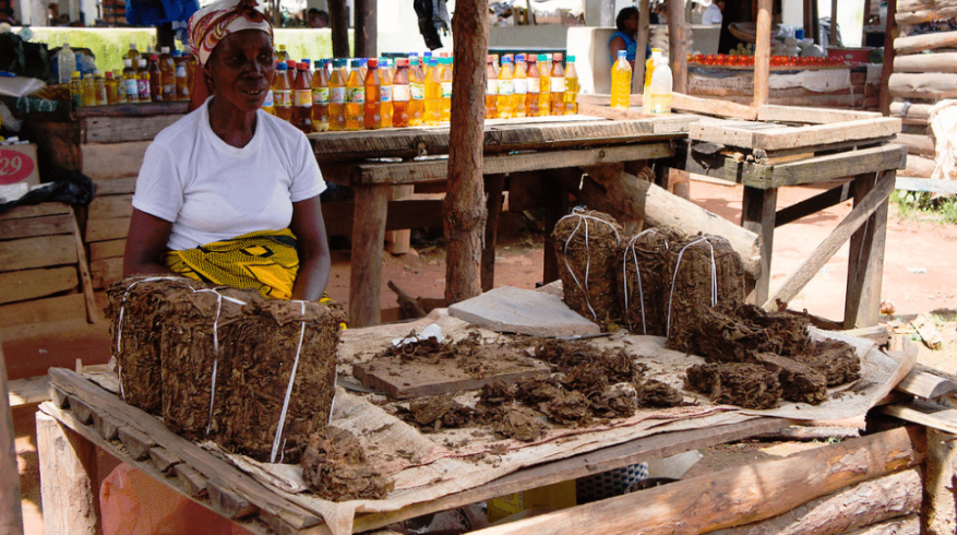 Self Help Africa - International Development Organisation