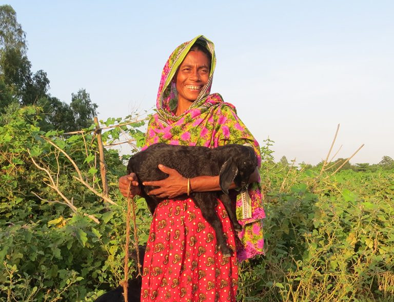 Self Help Africa - International Development Organisation