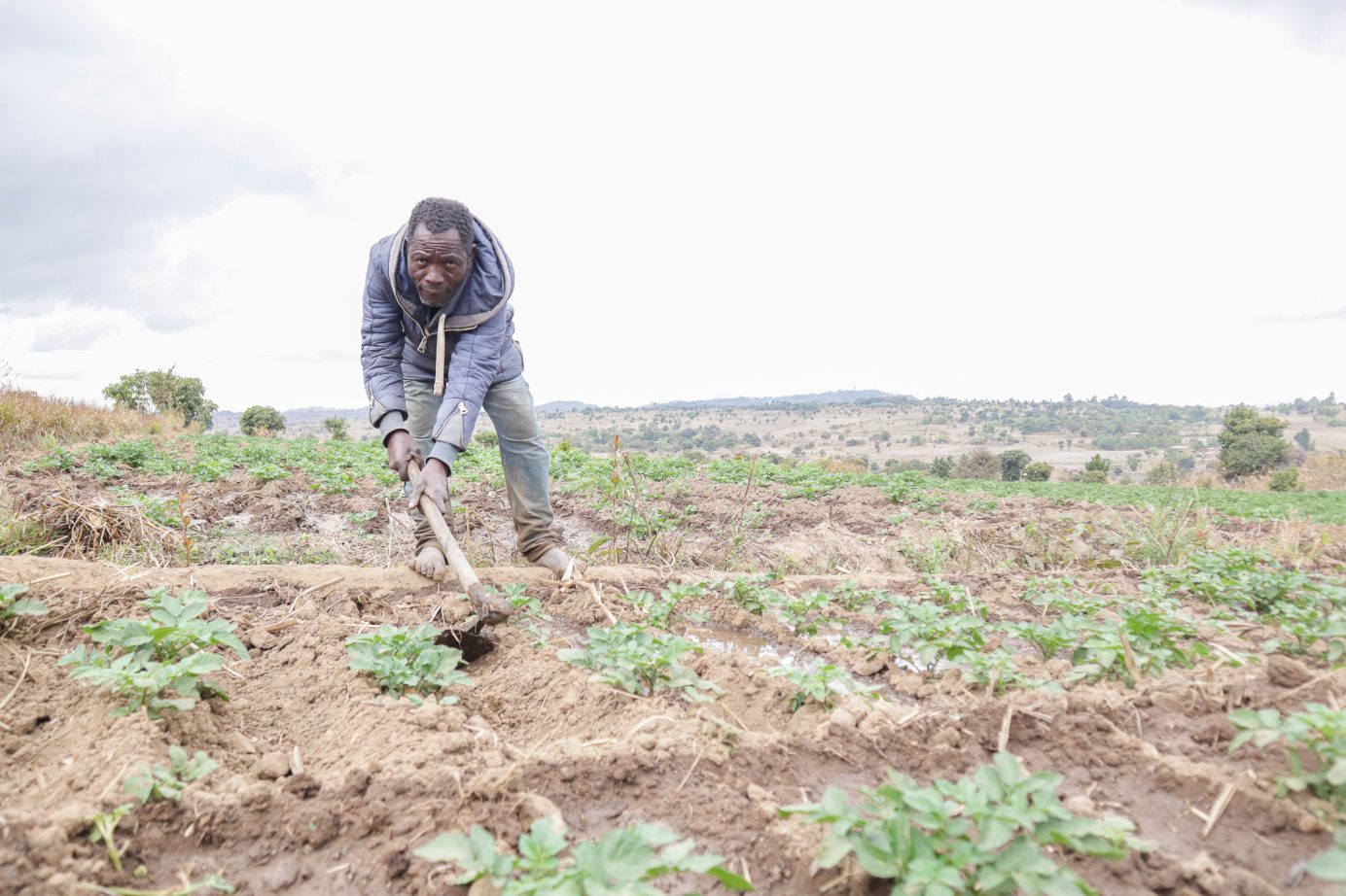 Irish Aid Self Help Africa