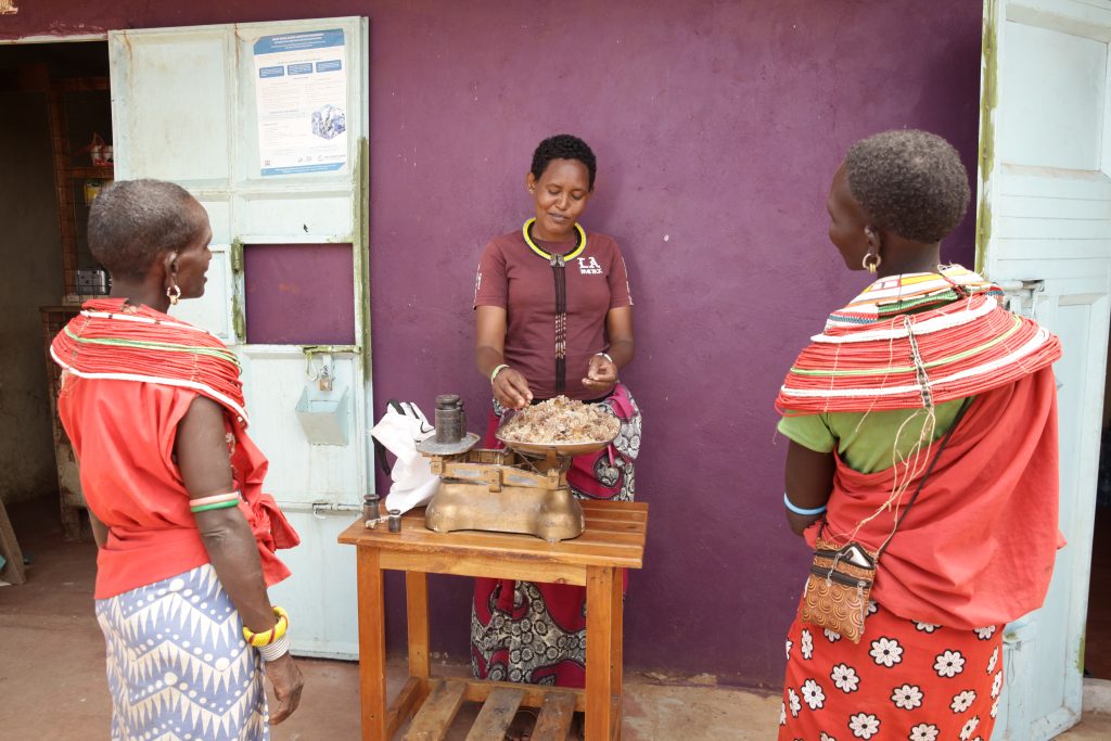 How Gum Arabic is Transforming Lives in Northern Kenya