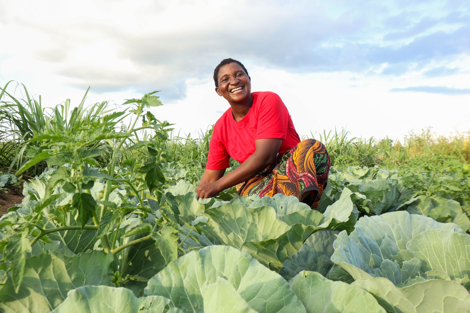 How one Malawi grandmother is beating drought through climate-resilient ...