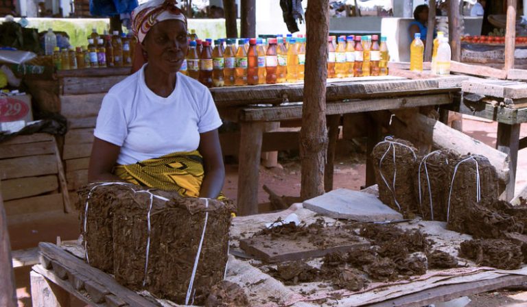 Self Help Africa - International Development Organisation